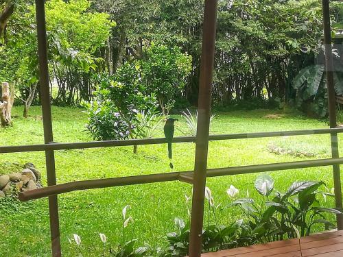 Hotel Pibi Boreal, Alajuela City – Updated 2024 Prices