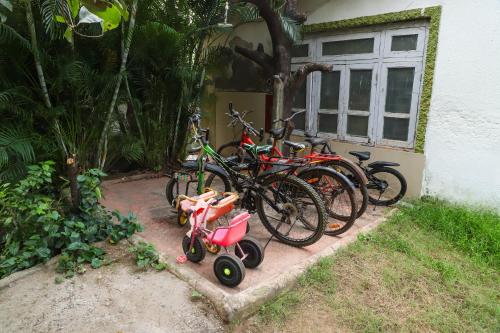 Sanidhya Resort, Alibaug – Updated 2023 Prices