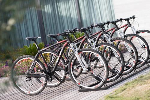 D-Resort Gocek, Göcek (tarifs actualisés, 2025)