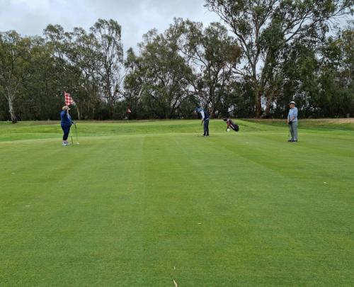 Tooleybuc Club Motor Inn, Tooleybuc (updated prices 2025)