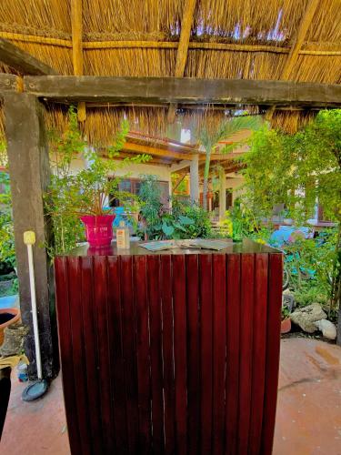 Don Panchon y Maruxa, Holbox Island (updated prices 2025)