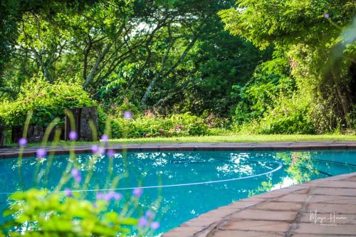 Ingwenya Lodge, St Lucia (updated prices 2025)