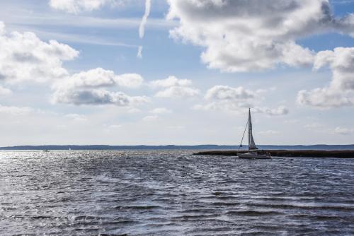 Drevernos Avilys, Dreverna (updated prices 2024)