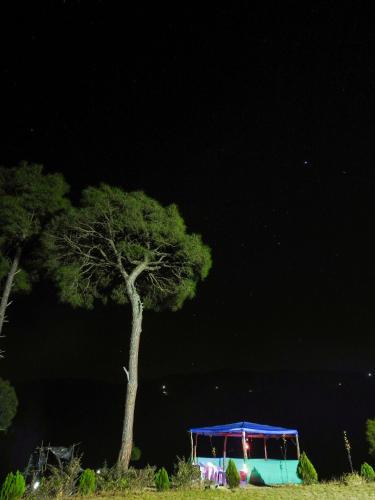 Golden valley cottages, Chail, Chail (updated prices 2025)