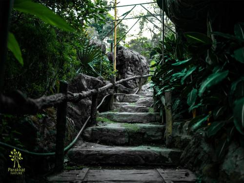 Parakkat Nature Resort, Munnar (updated prices 2025)