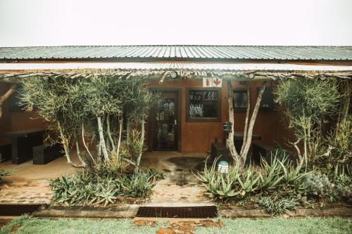 Amphitheatre Backpackers Lodge, Ethels Drive (updated prices 2025)