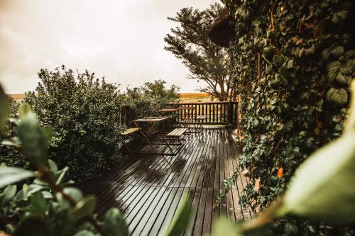 Amphitheatre Backpackers Lodge, Ethels Drive (updated prices 2025)