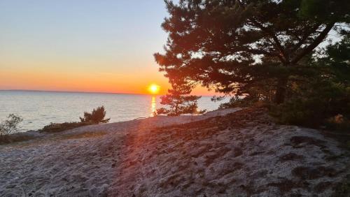 Camping Kormoran - Hel - Półwysep Helski (Poljska Hel) - Booking.com