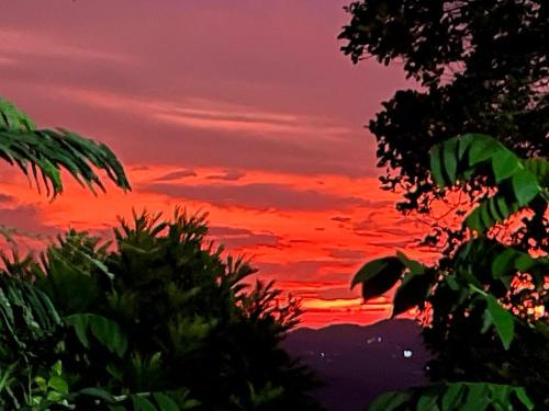 Gammaduwa Bungalow, Matale – Updated 2023 Prices