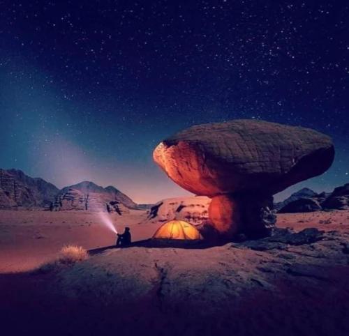 Wadi Rum Magic Camp, Wadi Rum – Precios actualizados 2024