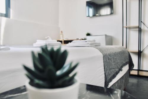 Navitas House, Athens – Updated 2023 Prices