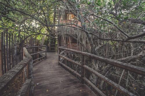 Hidden Treehouse Tulum Eco-Hotel, Tulum (updated prices 2025)