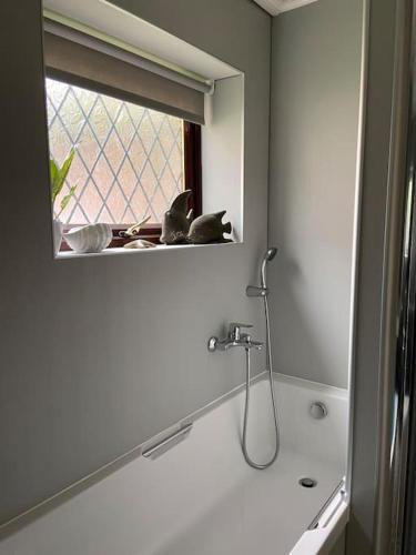 Award winning pet friendly paddock cottage, Whitby (updated prices 2025)