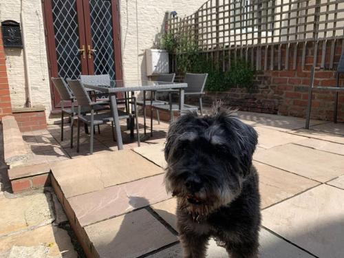 Award winning pet friendly paddock cottage, Whitby (updated prices 2025)