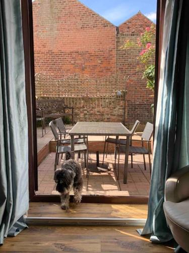 Award winning pet friendly paddock cottage, Whitby (updated prices 2025)