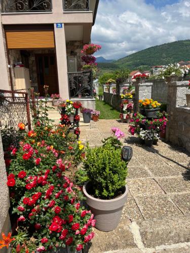 Plavius Guesthouse, Plav (updated prices 2025)