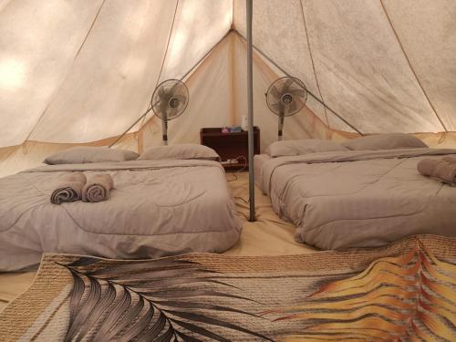 Tok Mat Glamping (TMG)（Kampong Paya Rengas）：（最新料金：2024年）