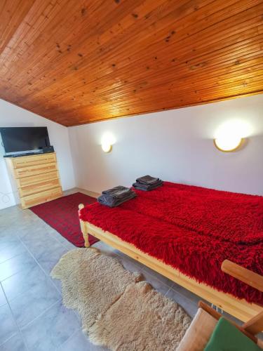 Къща за гости,,Вила Росица,,, Shabla (updated prices 2025)