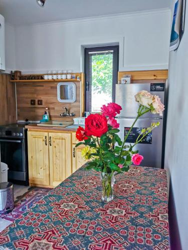 Къща за гости,,Вила Росица,,, Shabla (updated prices 2025)