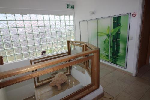 Custo Club, Eilat (updated prices 2024)