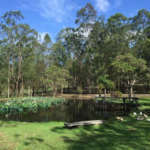 Telegraph Retreat Cottages, Telegraph Point (updated prices 2025)