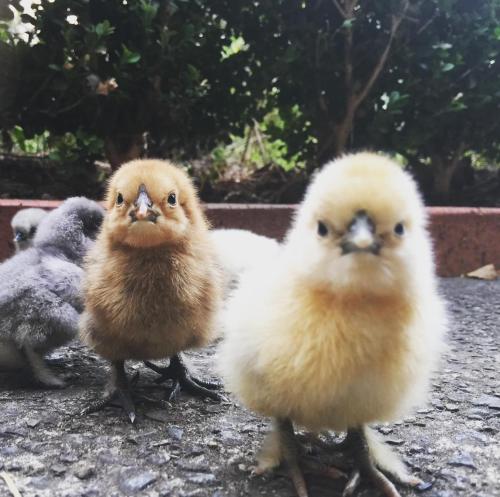 Telegraph Retreat Cottages, Telegraph Point (updated prices 2025)