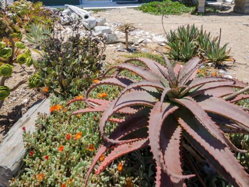 Beach Cottage Kleinzee, Kleinsee (updated prices 2025)