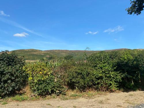 Vale View Glamping, Ruthin (updated prices 2024)