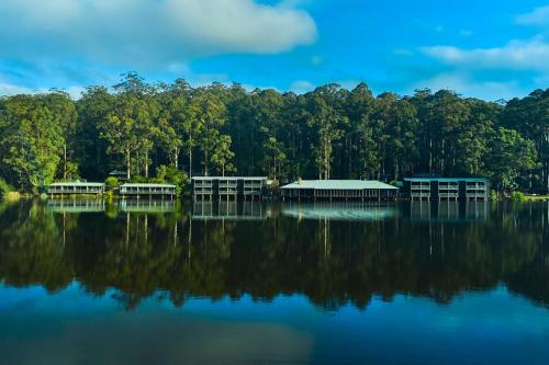 RAC Karri Valley Resort, Pemberton (updated prices 2025)