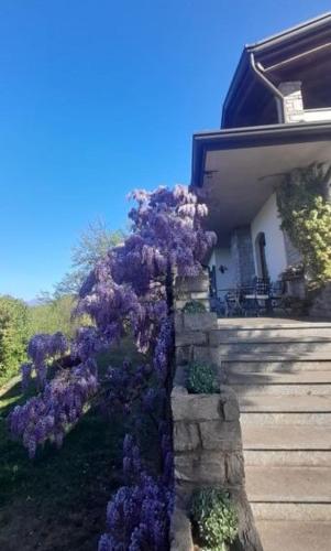 Al Picchio Verde A.P.S., Cunardo (updated prices 2025)