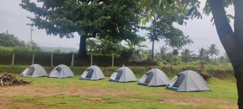 Luxury tent Stay Well Tent House, Yelagiri, India - Booking.com