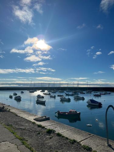 Hugo Mews Bright Studio Apartment, Bray (updated prices 2024)