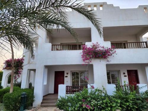 Best studio in Delta Sharm, Sharm El Sheikh (updated prices 2024)
