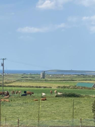 Clonmore Lodge B&B, Quilty, Ireland - Booking.com