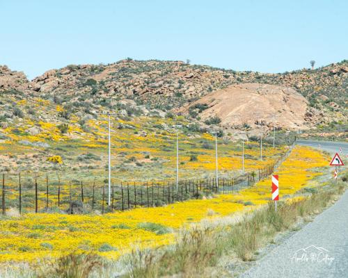 Apollis Cottage, Springbok (updated prices 2025)