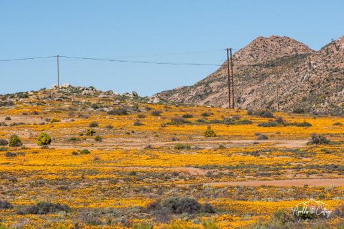 Apollis Cottage, Springbok (updated prices 2025)