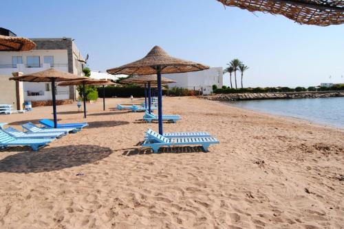 Cecelia resort families only, Hurghada (updated prices 2024)