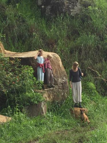 The Haldummulla Estate - Picturesque planters bungalow on organic tea ...