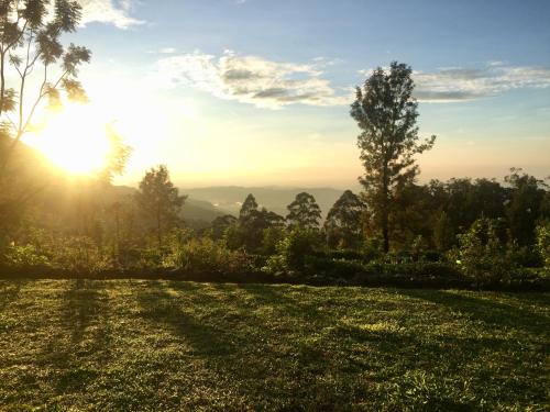 The Haldummulla Estate - Picturesque planters bungalow on organic tea ...