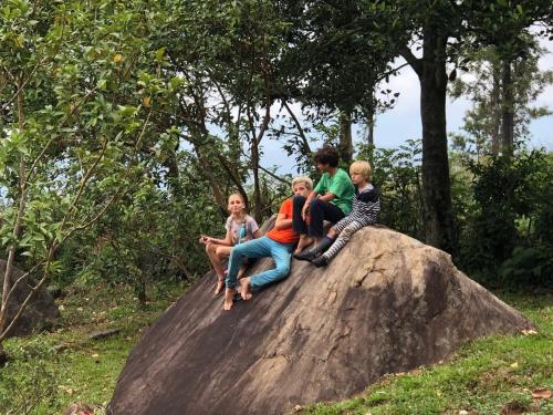 The Haldummulla Estate - Picturesque planters bungalow on organic tea ...