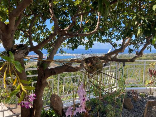 Nuu Fare Faa'a - Pamatai, Faaa – Updated 2024 Prices