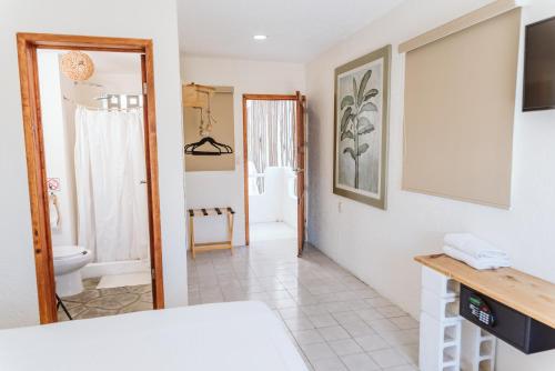 Ahava Hotel, Playa del Carmen – Updated 2023 Prices