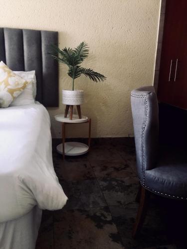 My Angel Guest House, Hectorspruit (updated prices 2024)