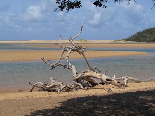 Kosi Bay Casitas, Manguzi (updated prices 2025)