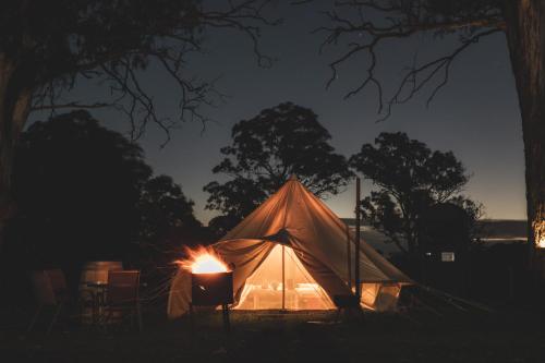 Coonawarra Bush Holiday Park, Coonawarra – Updated 2024 Prices