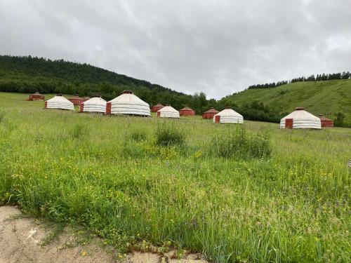Mongolian Secret History camp, Jargalant (updated prices 2024)