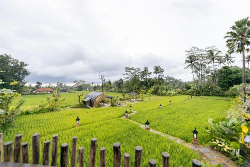 Anumana Village Ubud, Ubud – Updated 2023 Prices