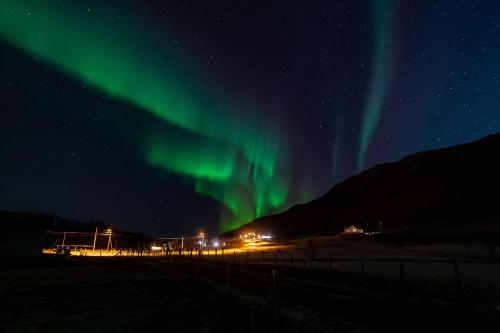 Arctic Lodge Tromvik with jacuzzi, Tromsø – Updated 2023 Prices