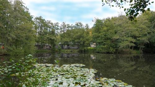 Warrenwood Country Park, Polegate – Updated 2024 Prices