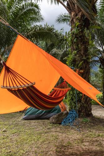 Sahom Valley Resort - Agro & Eco Park, Kampar (updated prices 2025)